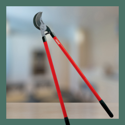 Top 7 Best Loppers in 2023 Manual Electric More